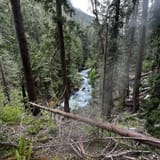 Duckabush River Trail to Five Mile Camp, Washington - 882 Reviews, Map ...