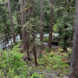 Duckabush River Trail to Five Mile Camp, Washington - 882 Reviews, Map ...