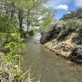 Tom Cooke and Steamboat Ditch Trail, Nevada - 647 Reviews, Map | AllTrails