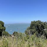 Angel Island Perimeter Loop, California - 1,751 Reviews, Map | AllTrails