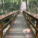 The Manistee River Loop Trail, Michigan - 2,029 Reviews, Map | AllTrails