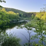 The Manistee River Loop Trail, Michigan - 2,108 Reviews, Map | AllTrails