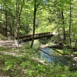 The Manistee River Loop Trail, Michigan - 2,029 Reviews, Map | AllTrails