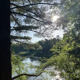 The Manistee River Loop Trail, Michigan - 2,108 Reviews, Map | AllTrails