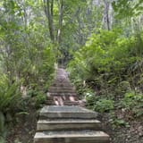 Seahurst Park Loop Trail, Washington - 897 Reviews, Map | AllTrails