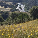 East Ridge and Cronan Ranch Loop, California - 965 Reviews, Map | AllTrails