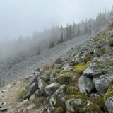 Ira Spring Memorial Trail, Washington - 2,104 Reviews, Map | AllTrails