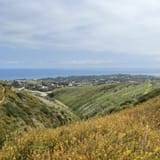 Ocean and Canyon View Trail, California - 2,042 Reviews, Map | AllTrails