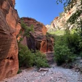 Spring Creek Canyon, Utah - 1,281 Reviews, Map | AllTrails