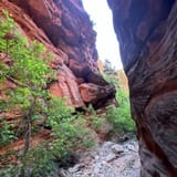 Spring Creek Canyon, Utah - 1,304 Reviews, Map | AllTrails