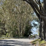 Presidio Loop Trail, California - 1,492 Reviews, Map | AllTrails