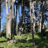 Presidio Loop Trail, California - 1,492 Reviews, Map | AllTrails