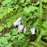 Four County Point Trail, Oregon - 116 Reviews, Map | AllTrails