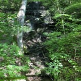 Fall Hollow Falls Trail, Tennessee - 173 Reviews, Map | AllTrails