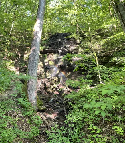 Best Kid Friendly Trails in Hohenwald | AllTrails