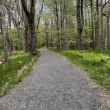 Compass Harbor Trail, Maine - 702 Reviews, Map | AllTrails