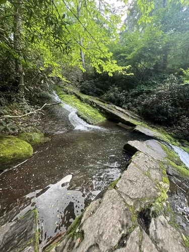 Best River Trails in Delaware Water Gap | AllTrails