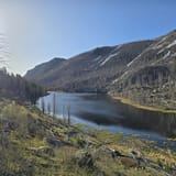 Cub Lake Loop, Colorado - 2,093 Reviews, Map | AllTrails