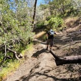 Waterfalls of Mount Diablo Loop, California - 2,392 Reviews, Map ...