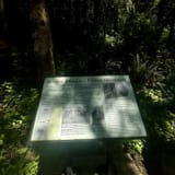 Amanda's Trail, Oregon - 545 Reviews, Map | AllTrails