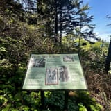 Amanda's Trail, Oregon - 545 Reviews, Map | AllTrails