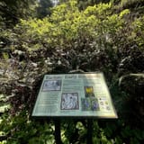 Amanda's Trail, Oregon - 545 Reviews, Map | AllTrails