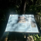 Amanda's Trail, Oregon - 545 Reviews, Map | AllTrails