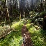 Amanda's Trail, Oregon - 545 Reviews, Map | AllTrails