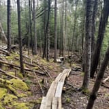 Little Harbor Brook Trail, Maine - 185 Reviews, Map | AllTrails