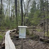 Little Harbor Brook Trail, Maine - 185 Reviews, Map | AllTrails