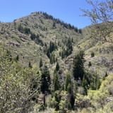 Emigration Canyon Miners Trail, Utah - 844 Reviews, Map | AllTrails