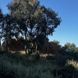 Encinitas Ranch Trail, California - 859 Reviews, Map | AllTrails