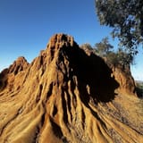 Encinitas Ranch Trail, California - 859 Reviews, Map | AllTrails