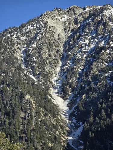 Best Waterfall Trails in Forest Falls | AllTrails