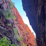 Spring Creek Canyon, Utah - 1,321 Reviews, Map | AllTrails