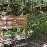 Oyster Dome from Samish Overlook, Washington - 2,741 Reviews, Map ...