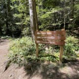 Oyster Dome from Samish Overlook, Washington - 2,741 Reviews, Map ...