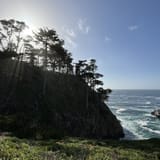 Point Lobos Loop, California - 7,752 Reviews, Map | AllTrails