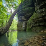 Rim Rock Recreational Trail, Illinois - 737 Reviews, Map | AllTrails
