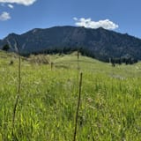Panorama Point via Panorama Point and Bear Creek Trail, Colorado ...