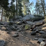 General Grant Trail, California - 2,925 Reviews, Map | AllTrails