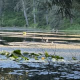 Lord Hill, Main Trail, and Temple Pond Loop Trail, Washington - 1,456 ...