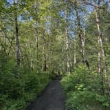 Lord Hill, Main Trail, and Temple Pond Loop Trail, Washington - 1,456 ...