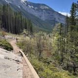 Heart Creek Trail, Alberta, Canada - 3,496 Reviews, Map | AllTrails