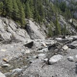 Heart Creek Trail, Alberta, Canada - 3,496 Reviews, Map | AllTrails