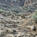 Umtanum Creek Falls Trail, Washington - 681 Reviews, Map | AllTrails