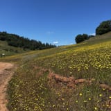 East Ridge and Cronan Ranch Loop, California - 1,061 Reviews, Map ...