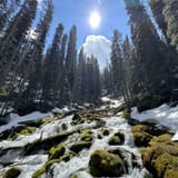 Karst Spring Trail, Alberta, Canada - 907 Reviews, Map | AllTrails