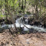 Dry Pond Loop, Nevada - 1,505 Reviews, Map | AllTrails