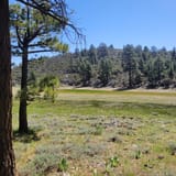 Dry Pond Loop, Nevada - 1,505 Reviews, Map | AllTrails